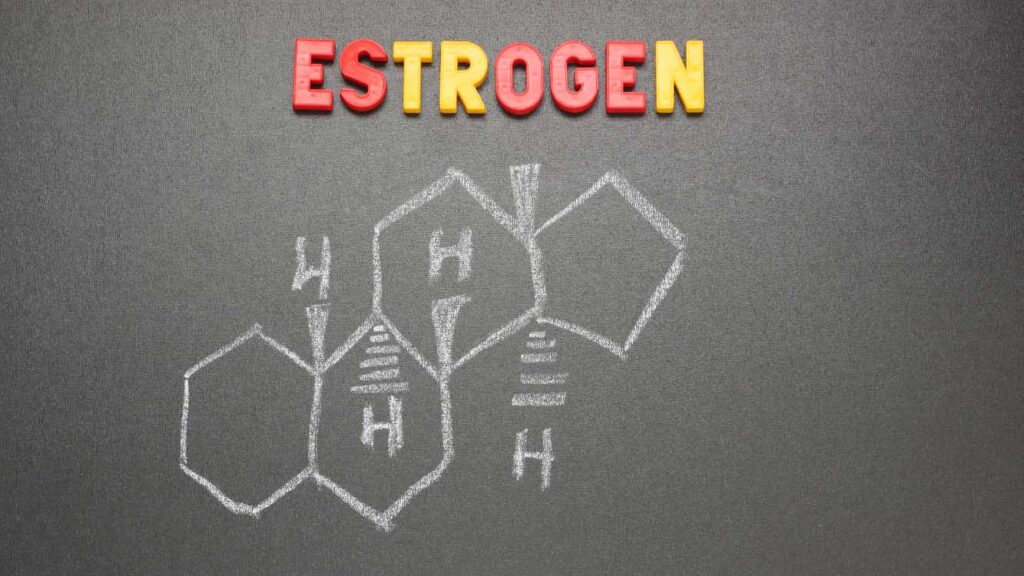 How Estrogen Replacement Therapy Revives Your Womanhood?