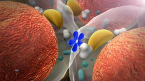 Symptoms Of Hormone Pellets Wearing Off: Time For Another Therapy Session